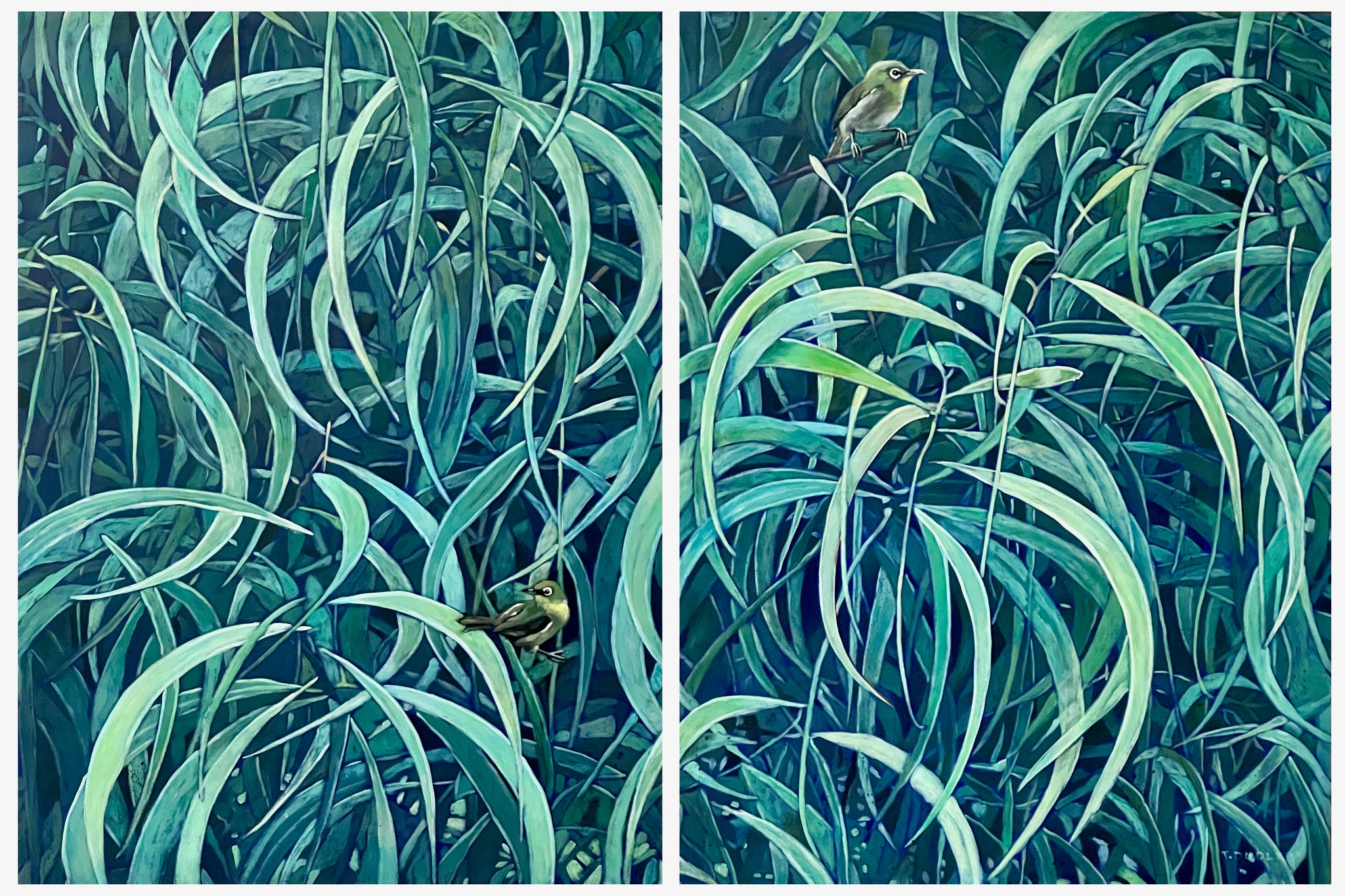 Mejiro in a Koa Tree - Diptych by Tracy Dudley